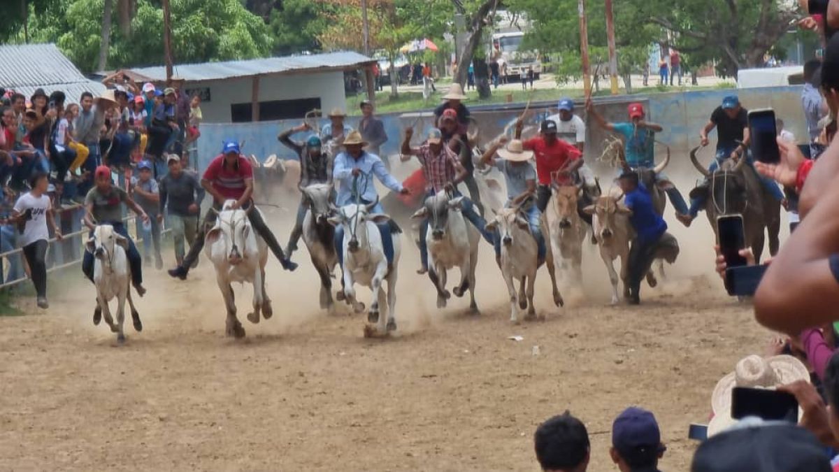 Expoturismo Apure 2022 una ventana para proyectar el Turismo en la ...