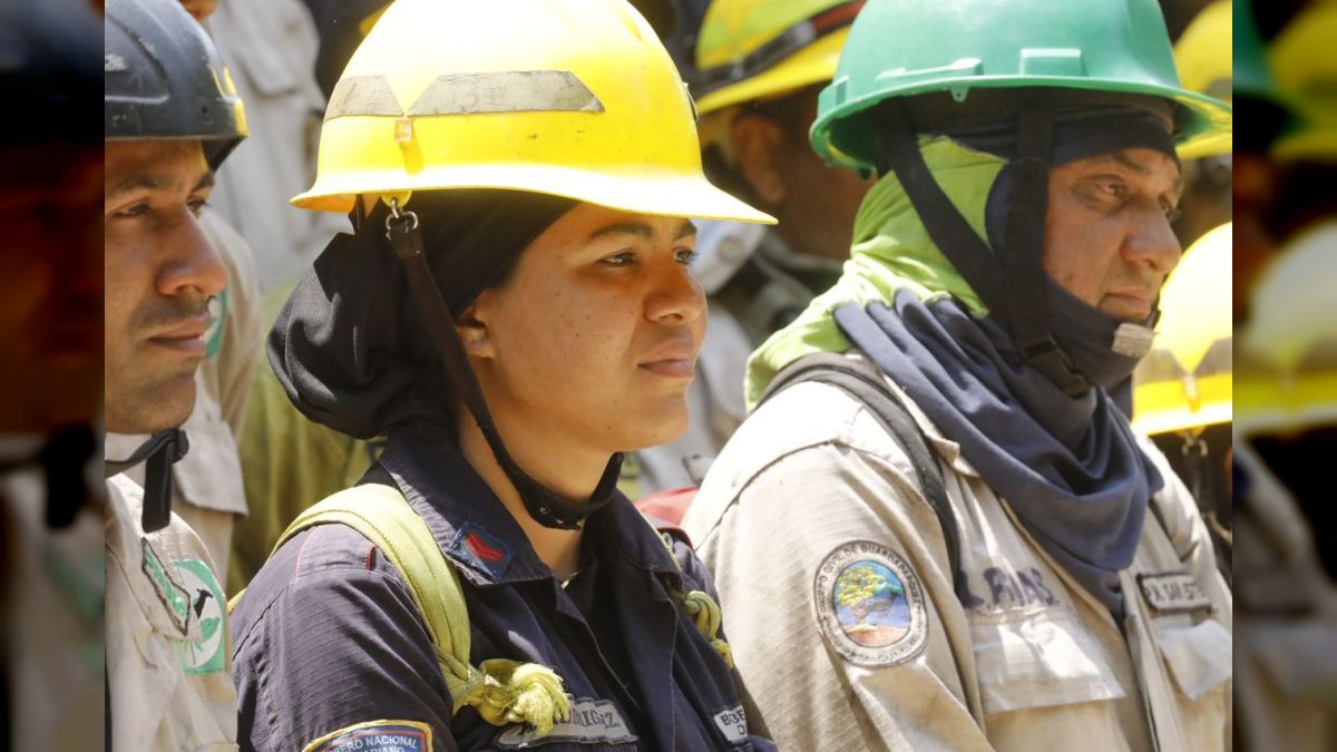 Cuerpos de combate de incendios siguen trabajando para sofocar llamas ...