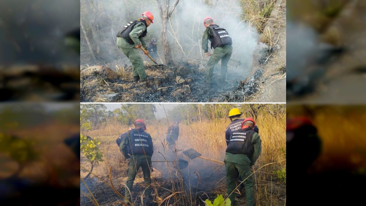 FANB participa en el combate a incendios forestales