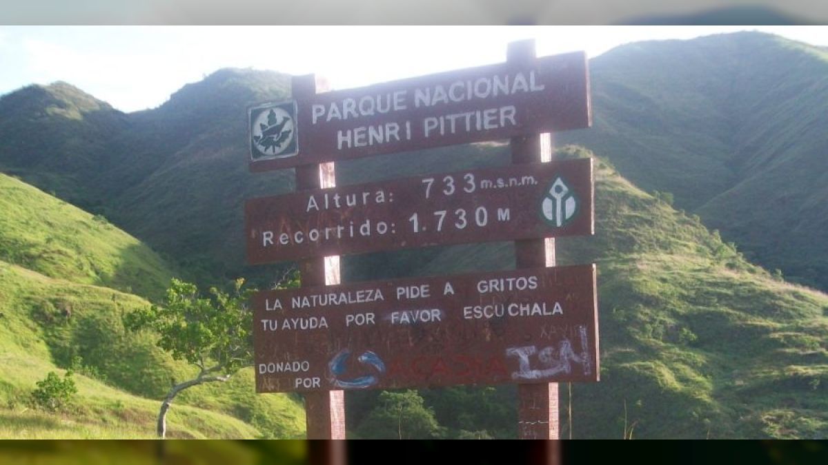 Parque Nacional Henri Pittier: Majestuosidad natural que se alza sobre ...