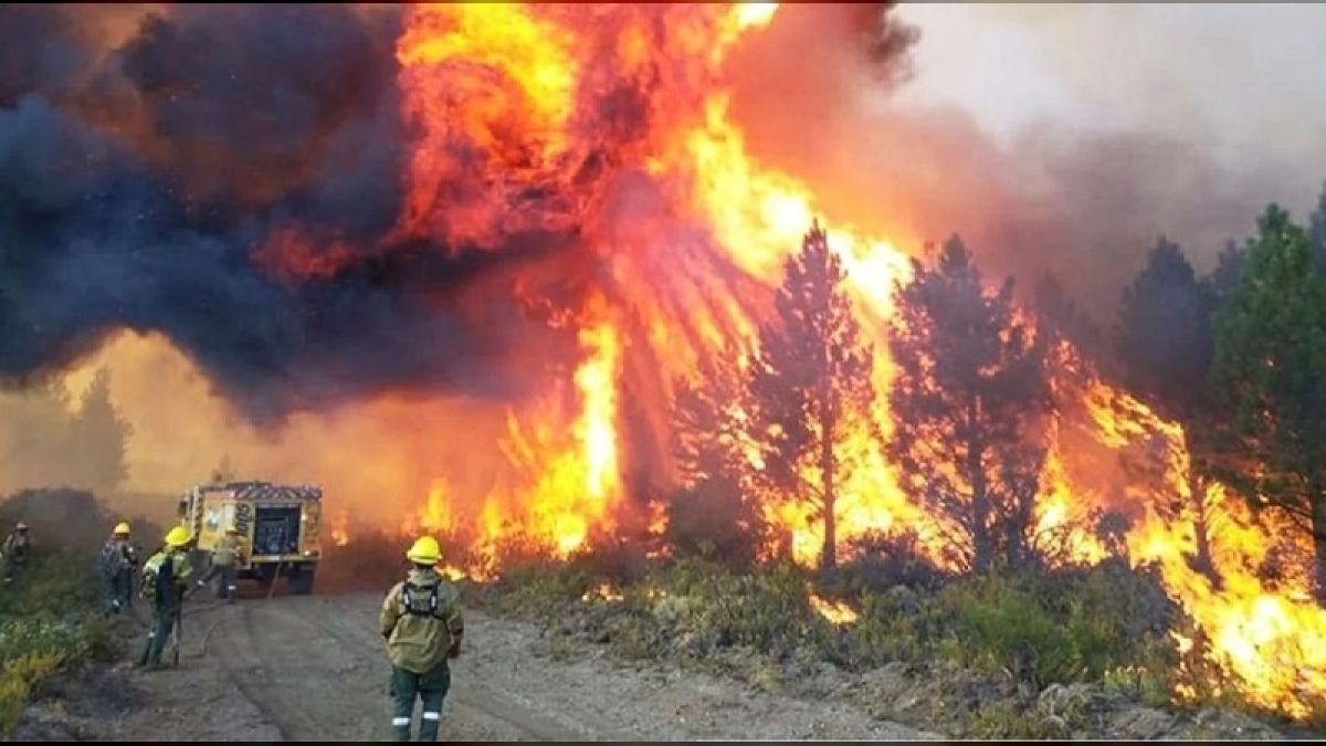 Más de 48 mil hectáreas han sido afectadas por incendios forestales en la Patagonia de Argentina