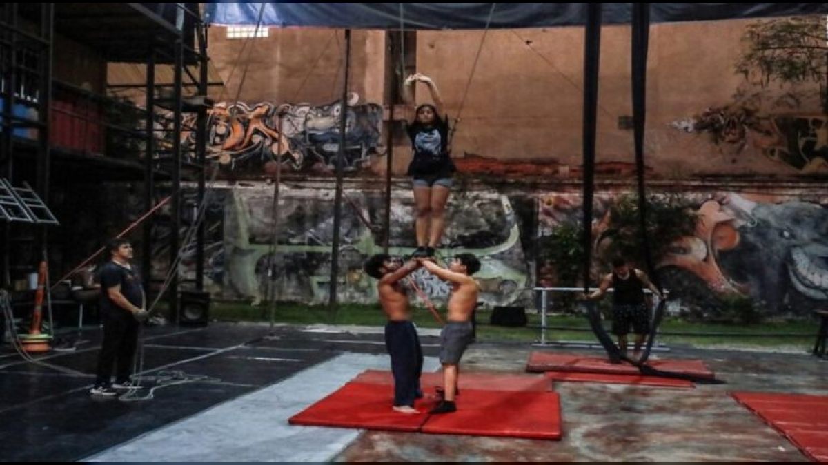 Ministry of Culture announces that a mega-circus show will dazzle the ...