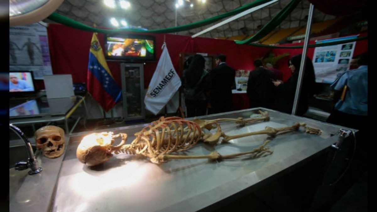 SENAMECF realizará primera Expo Científica Forense a cielo abierto