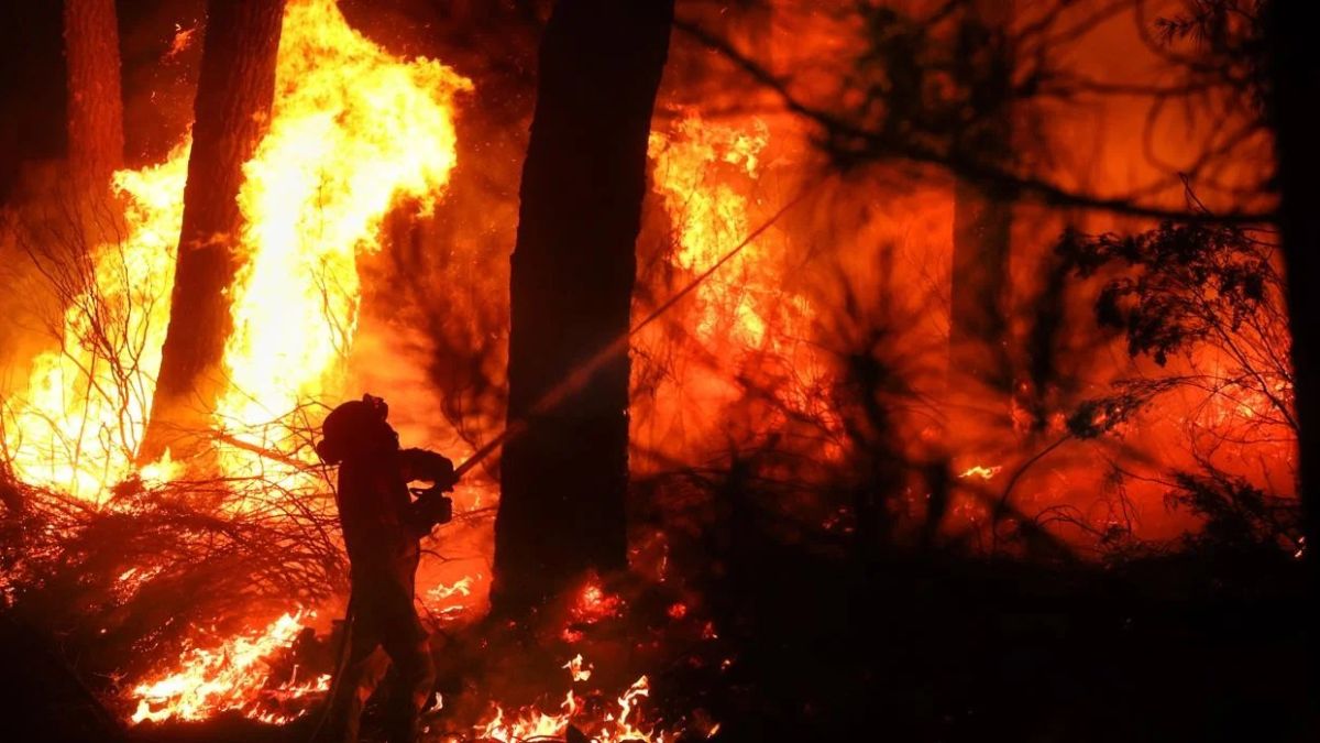 Heat wave causes huge fires in several locations in Spain
