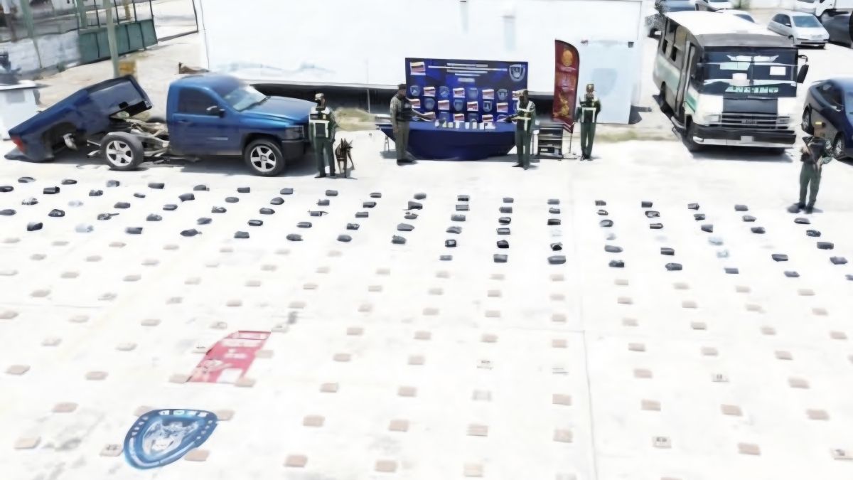 Cuerpos de Seguridad del Estado incautaron 289,50 kilos de marihuana en ...